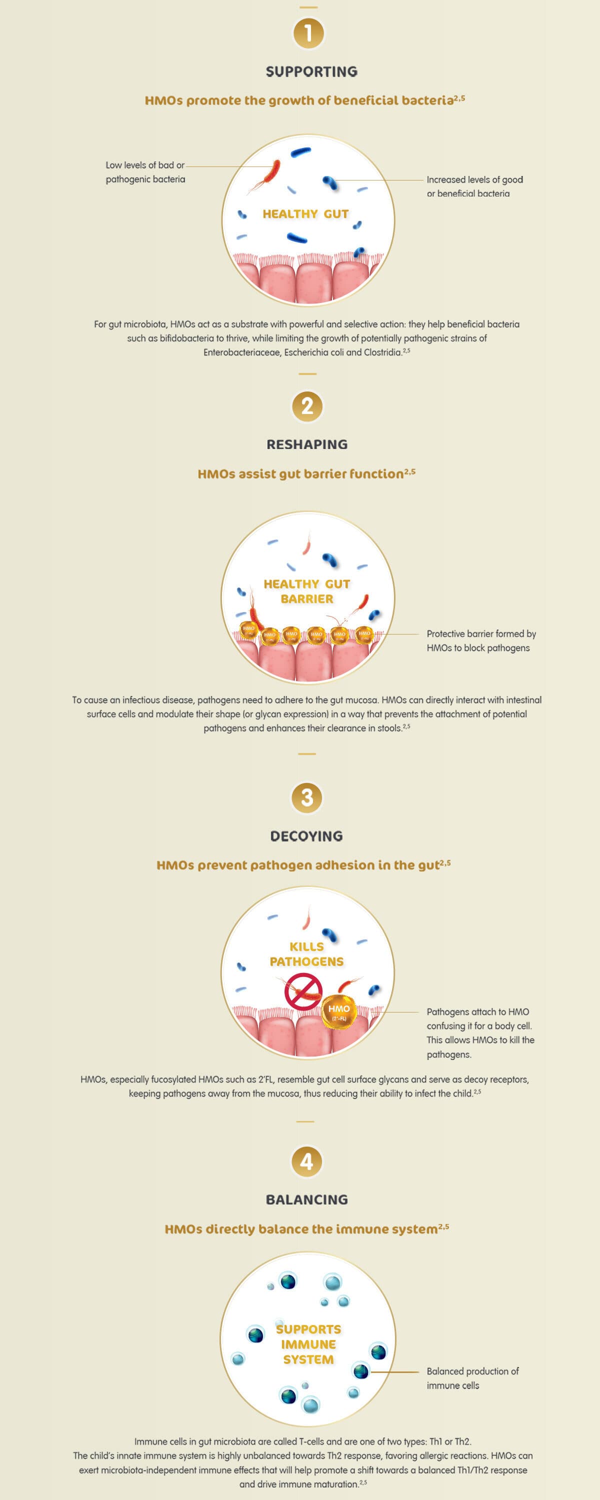 HMO Infant Formula: Importance of HMOs in Breast Milk